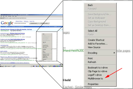 Figure 2 - Multibrowsing Current Page (Note the'Multibrowse to' Option ...